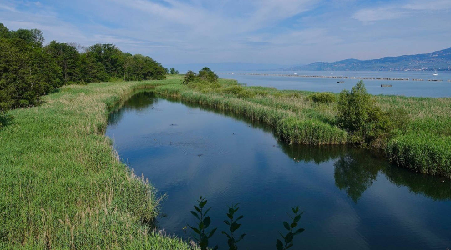 Visiter les Grangettes | Pro Natura